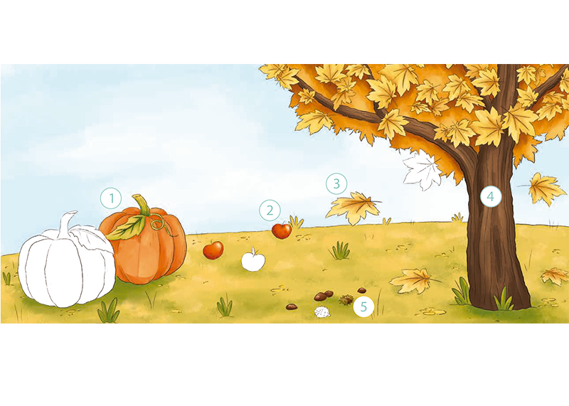 Activity | LearningPlace